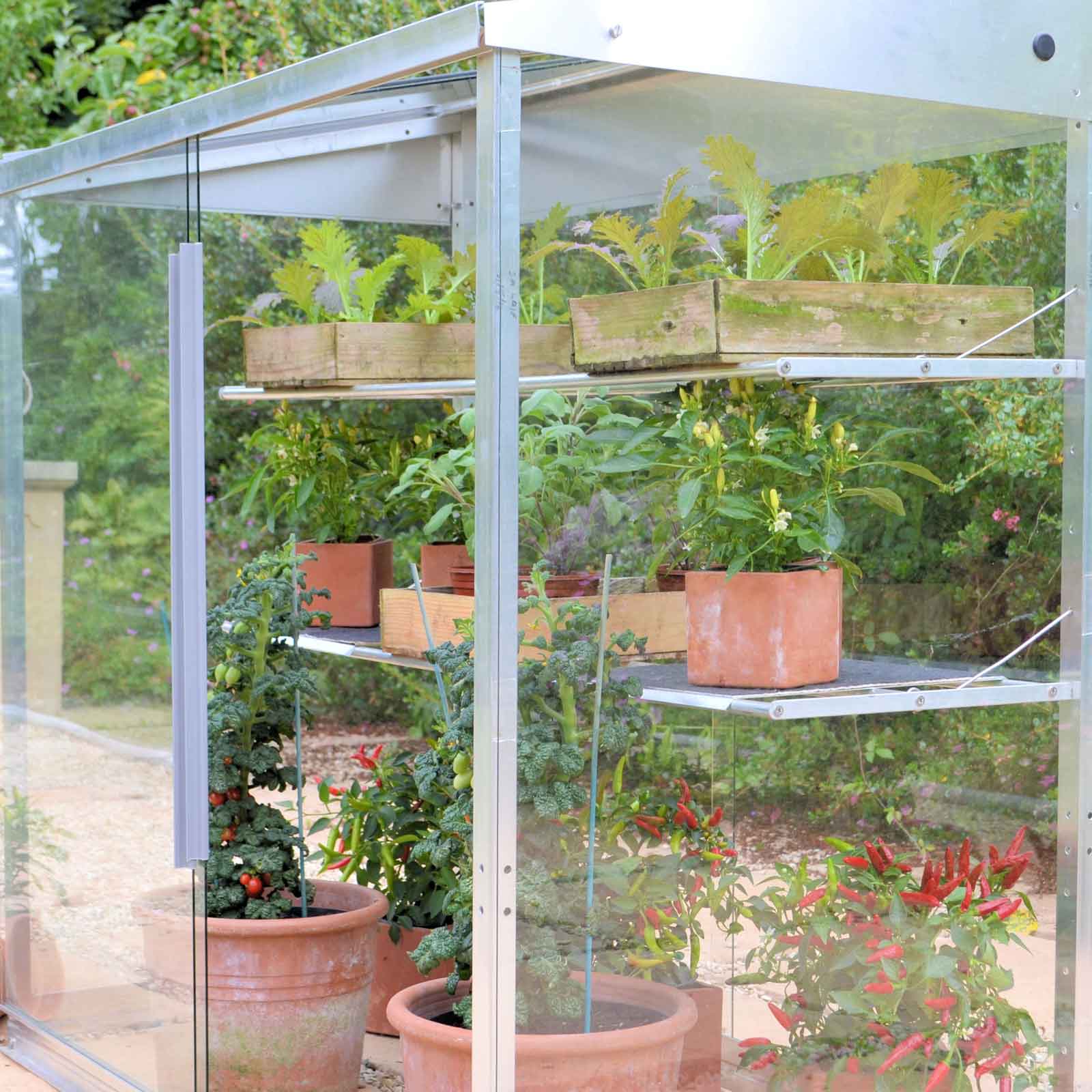 Midi Growhouse Natural Finish 1.21m - Harrod Horticultural