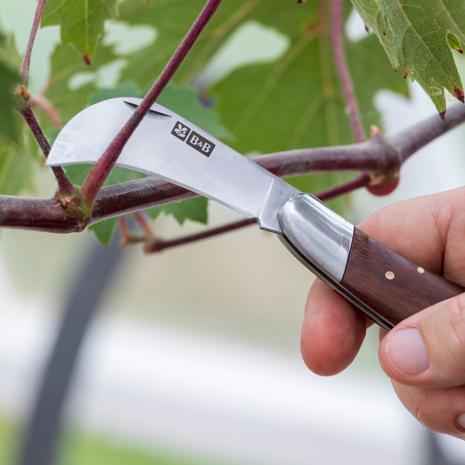 National Trust Pocket Knife - Harrod Horticultural