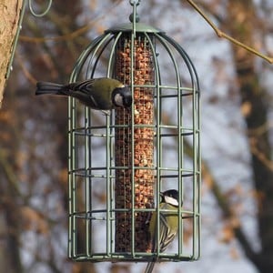 Nuttery Original Nut Feeder - Green - Harrod Horticultural