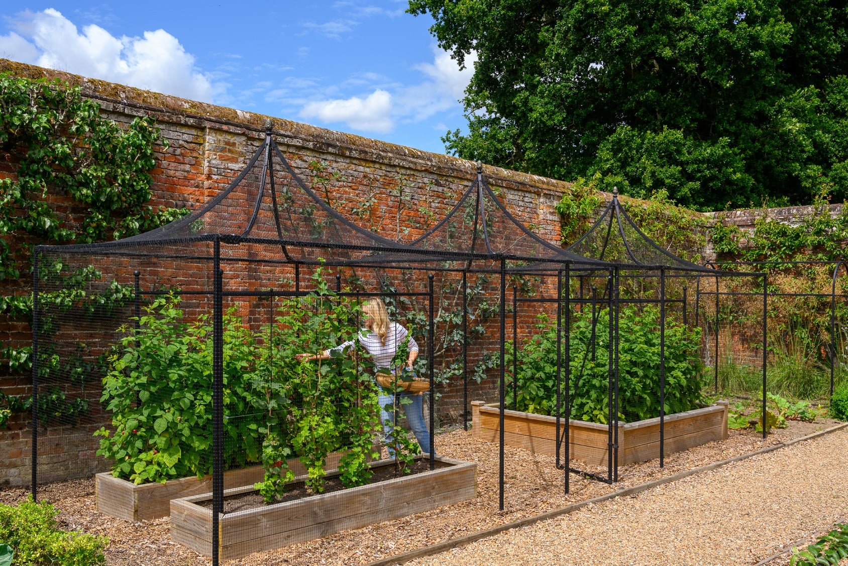 Peak Roof Heavy Duty Steel Decorative Fruit Cage - Harrod Horticultural