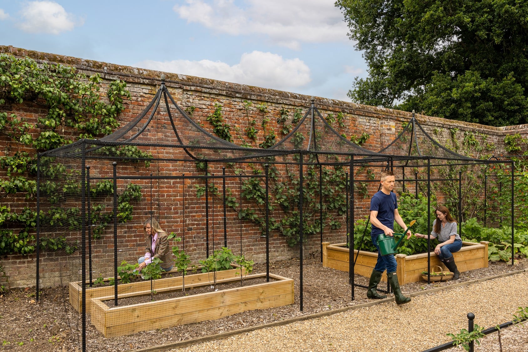 Peak Roof Heavy Duty Steel Decorative Fruit Cage - Harrod Horticultural