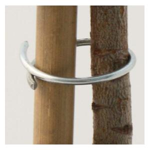 Metal Plant Support Rings - Harrod Horticultural (UK)