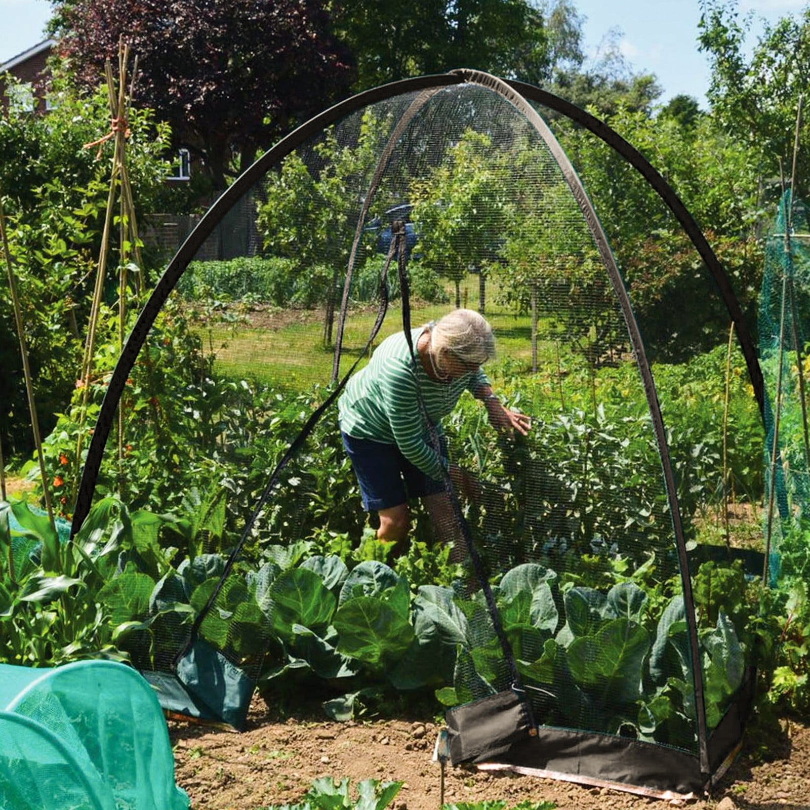 Popadome Crop Protection System (2m x 2m) - Harrod Horticultural