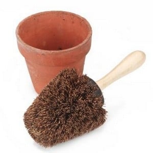 Pot Brush - Harrod Horticultural (UK)