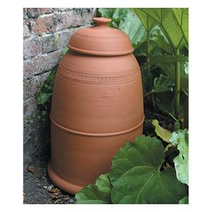 Rhubarb Forcer - Harrod Horticultural