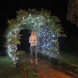 Roman Arch Garden Pergola - Harrod Horticultural