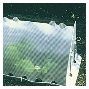 Self Watering Cloche (Ends Only) - Harrod Horticultural (UK)