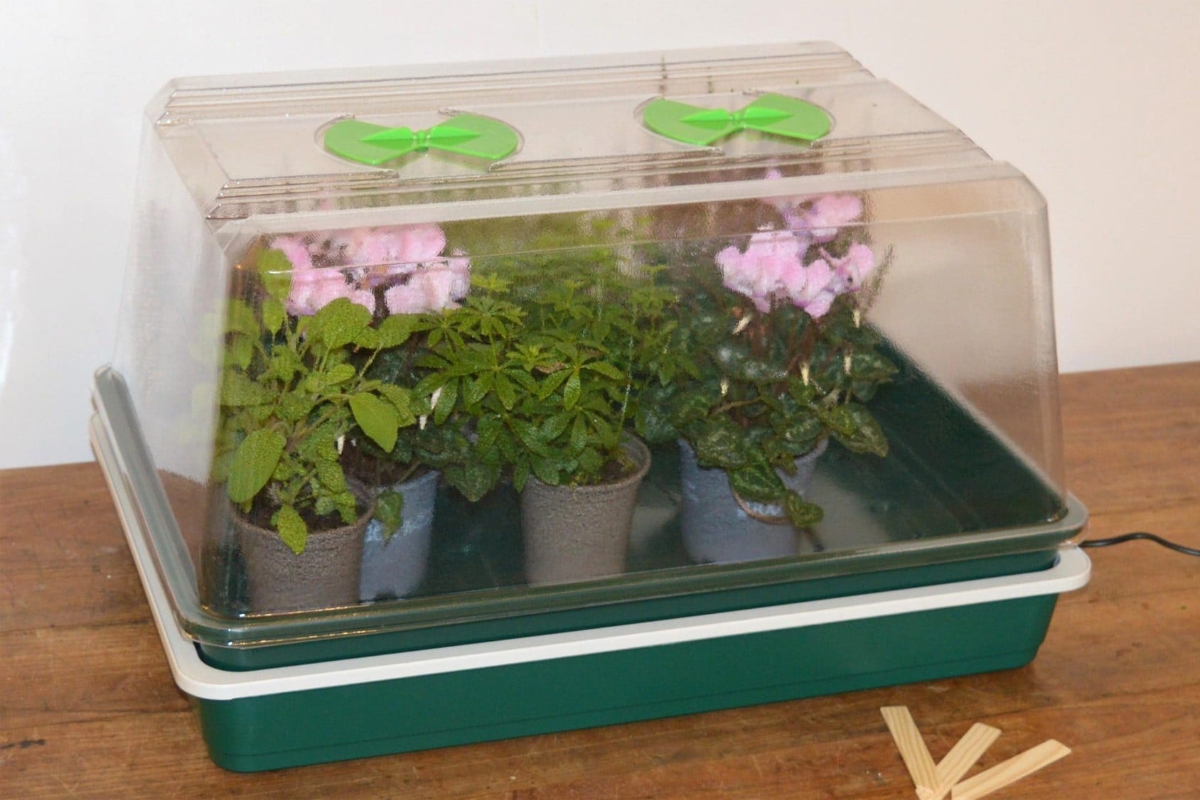 Single High Top Variable Temperature Control Electric Propagator ...