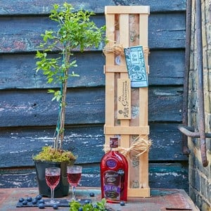 Sloe Gin Gardeners Gift Set - Harrod Horticultural