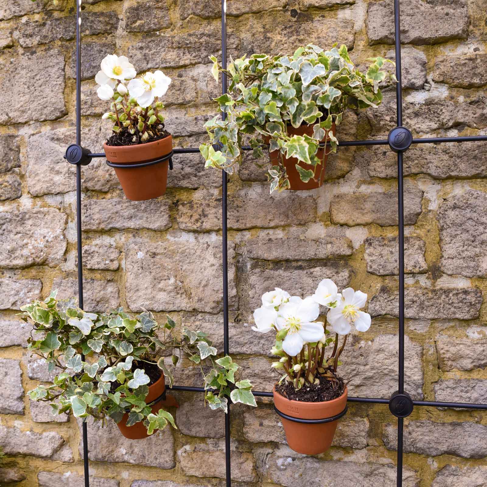 Small Terracotta Pots - Harrod Horticultural