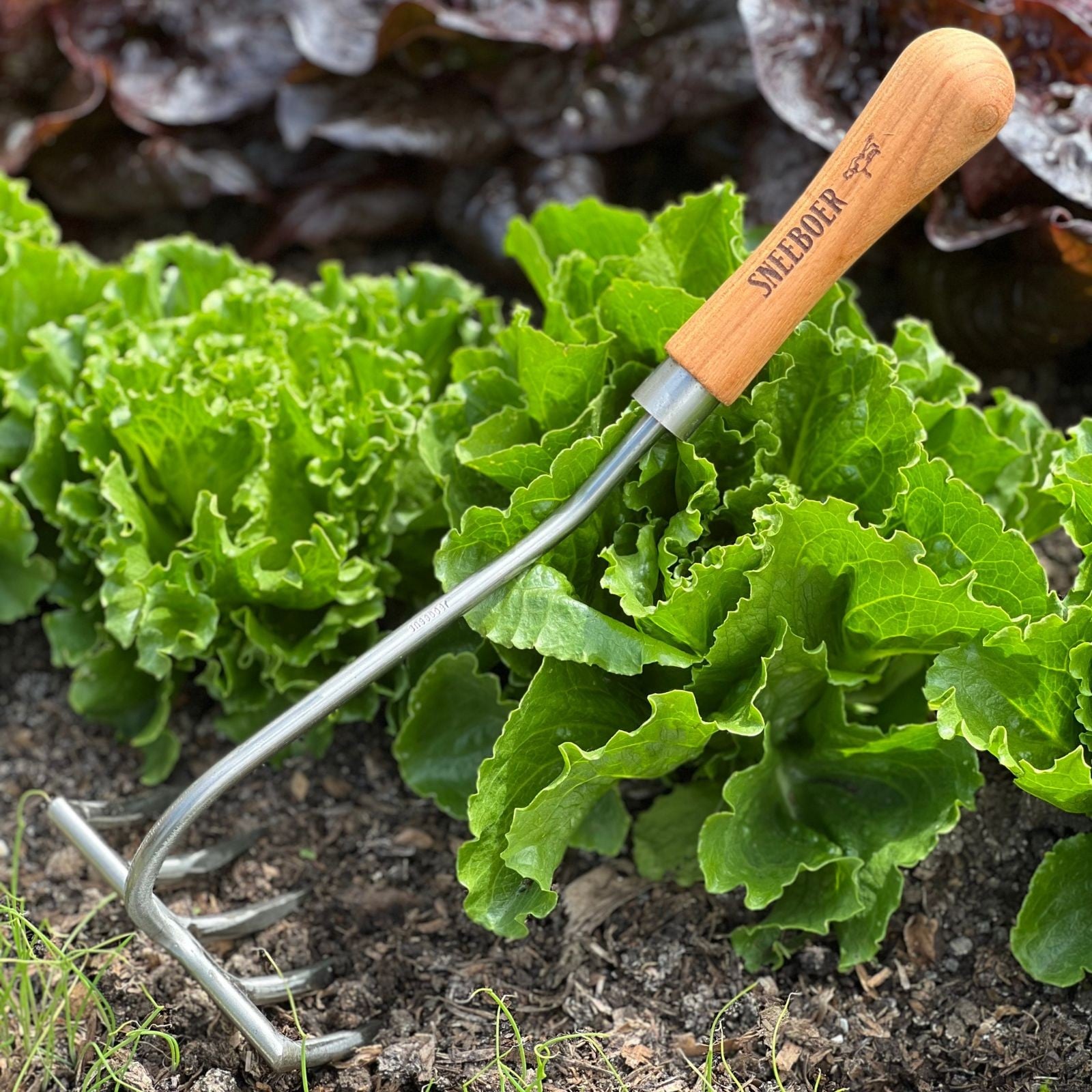 Sneeboer Hand Rake - Harrod Horticultural