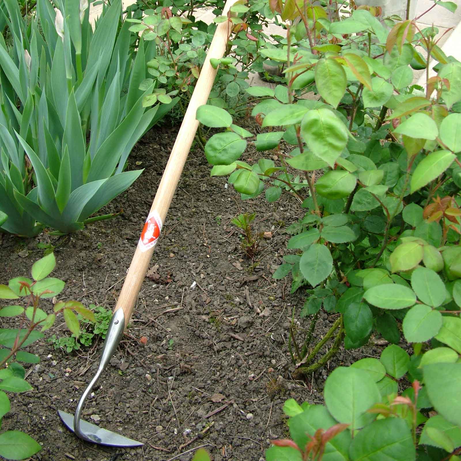 Sneeboer Long Handled Half Moon Hoe - Harrod Horticultural (UK)