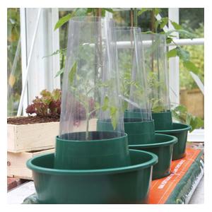Solar Cloches - Harrod Horticultural (UK)
