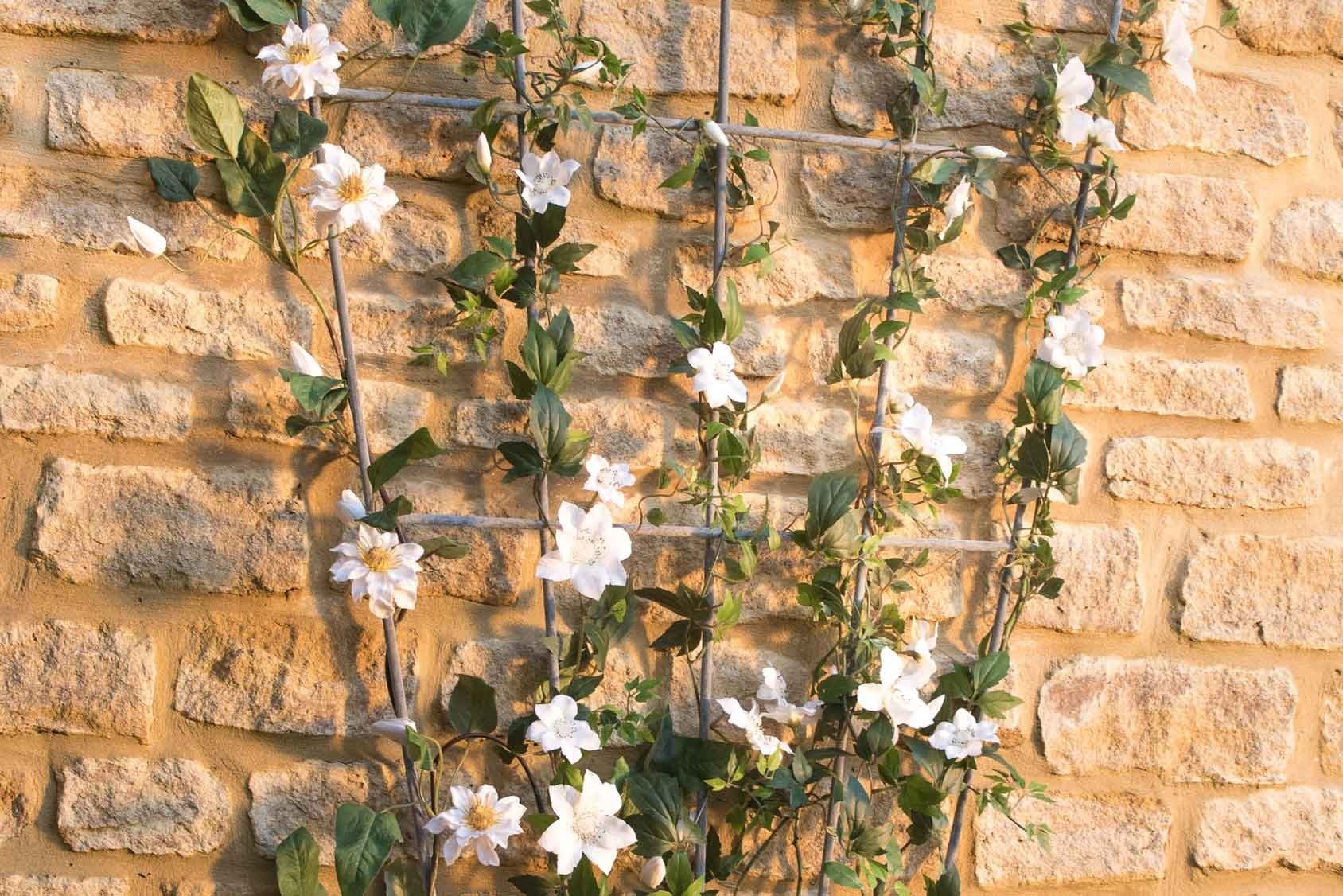 Southwold 5 Final Fan Trellis - Harrod Horticultural