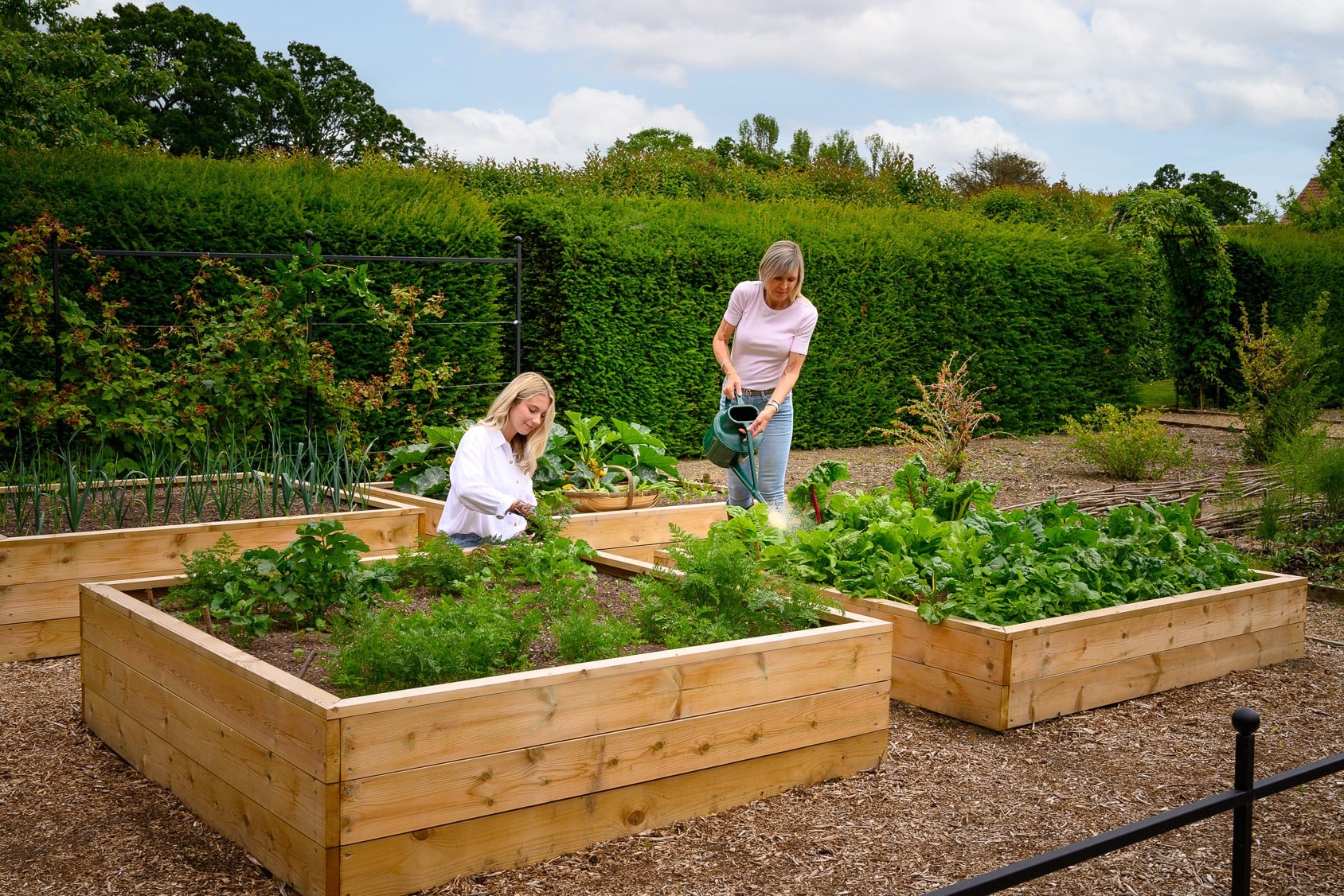 Standard Wooden Raised Beds - Harrod Horticultural