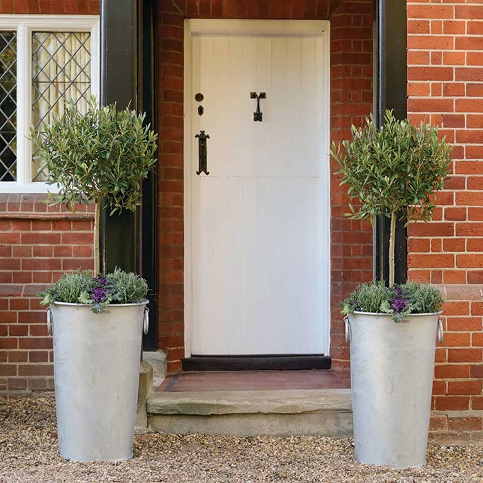 Tall Galvanised Zinc Planters - Harrod Horticultural