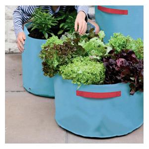 Vegetable Patio Planters - Harrod Horticultural (UK)