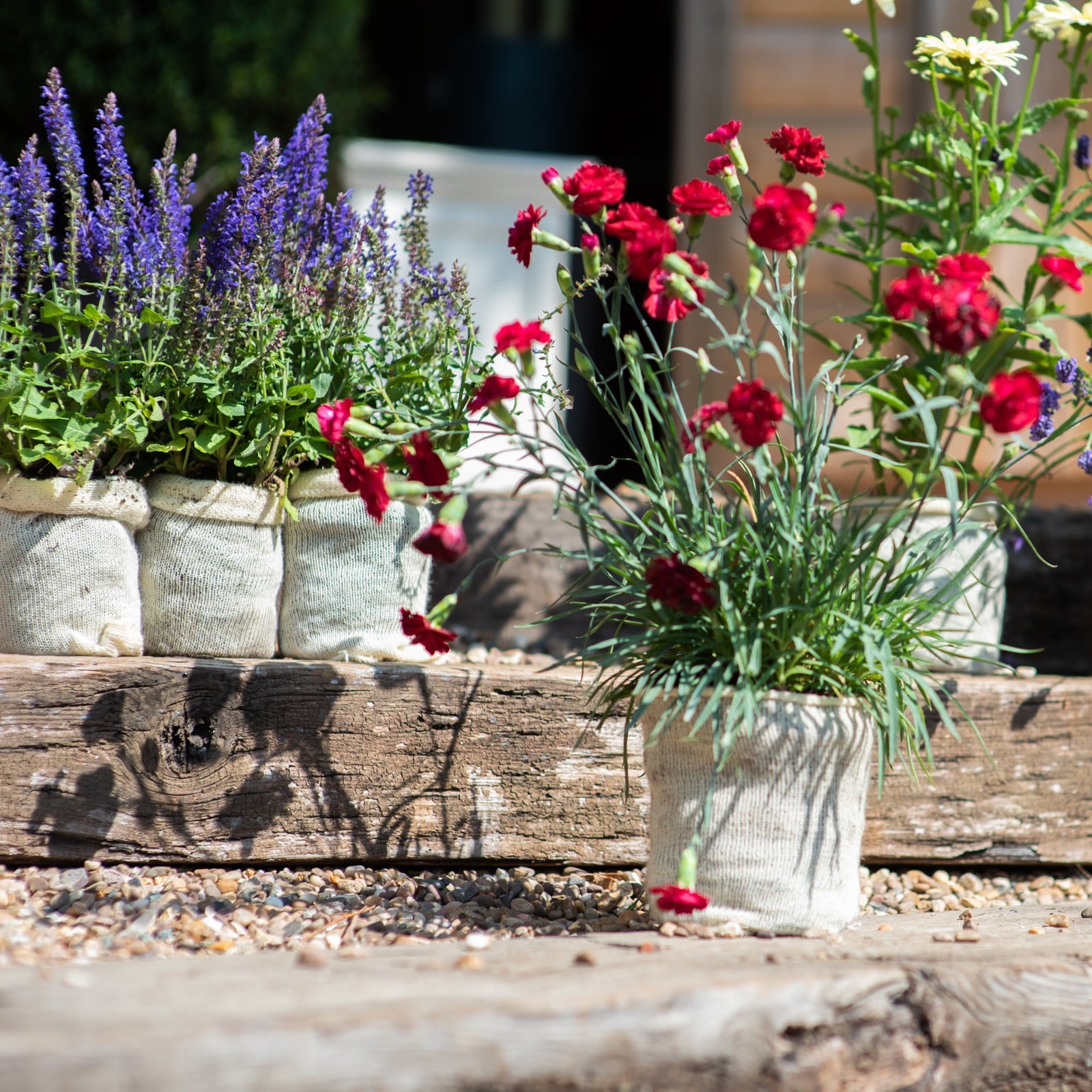 Wool Pots (pack of 10) - Harrod Horticultural